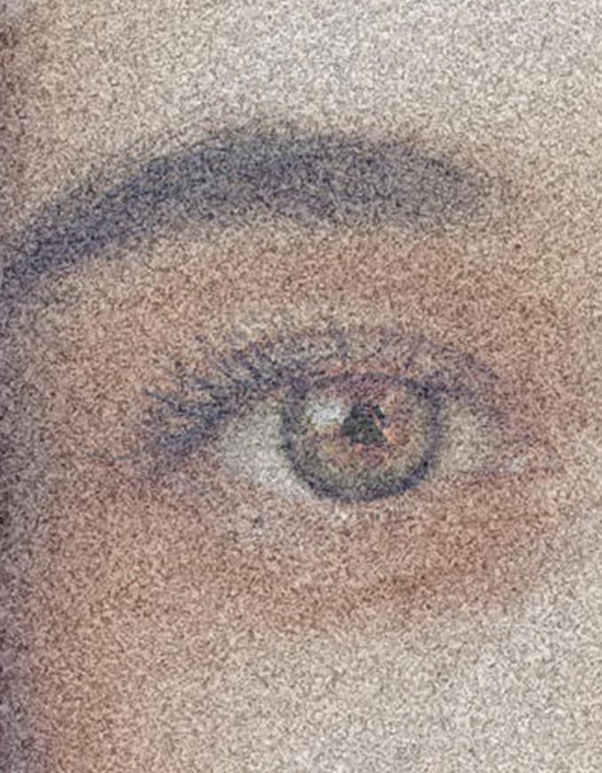 VSS Misconceptions | Visual Snow Initiative