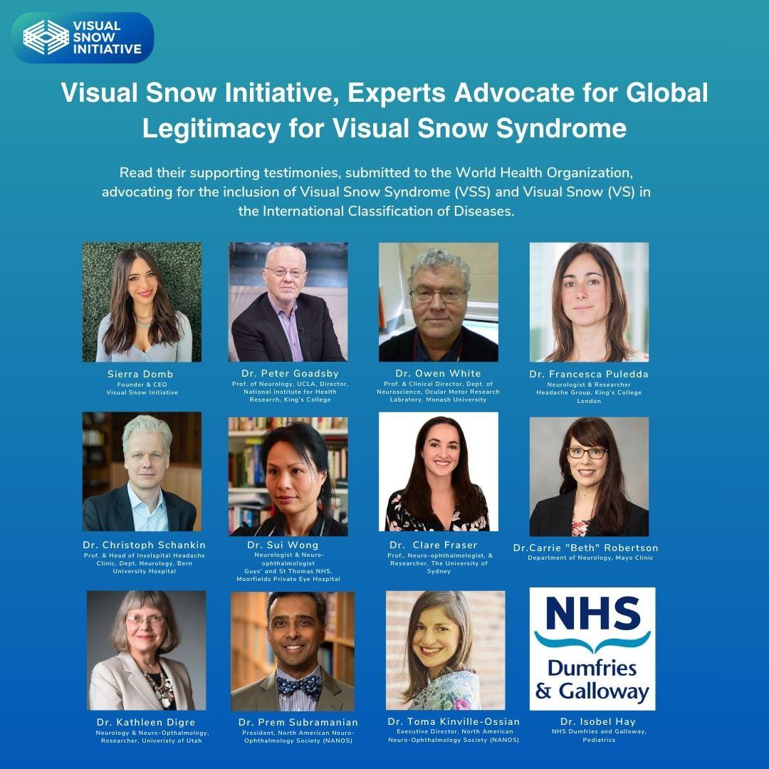Learn About Visual Snow Syndrome | Visual Snow Initiative