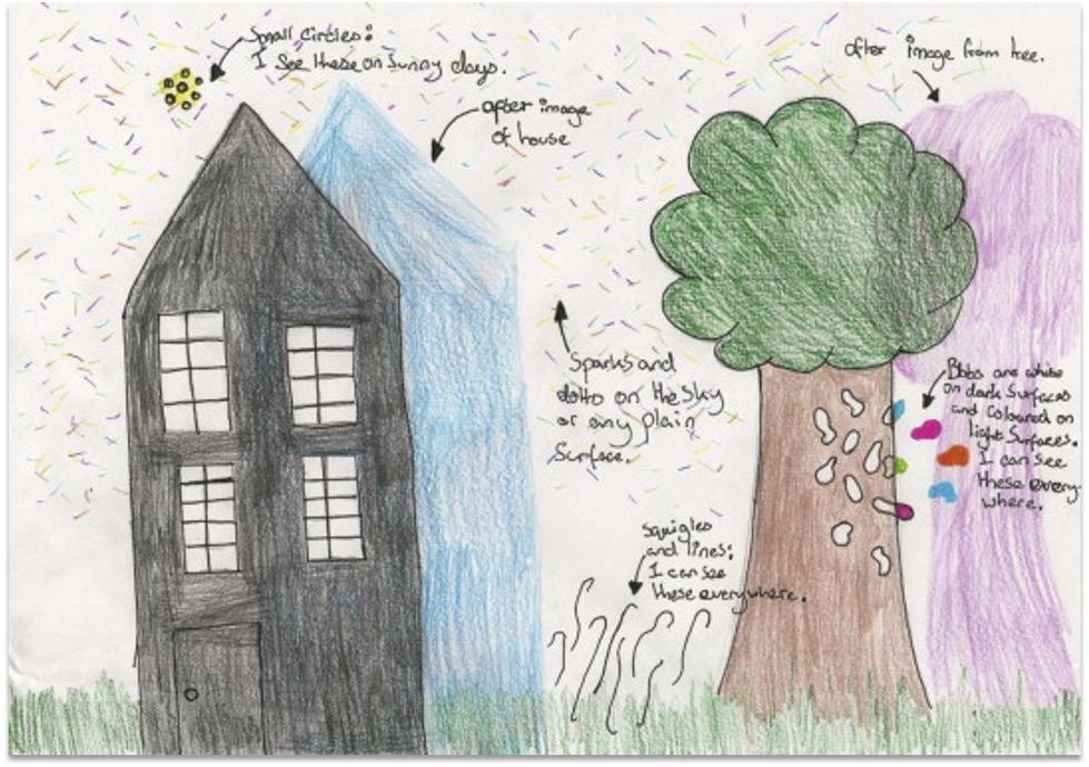 Learn About Visual Snow Syndrome | Visual Snow Initiative