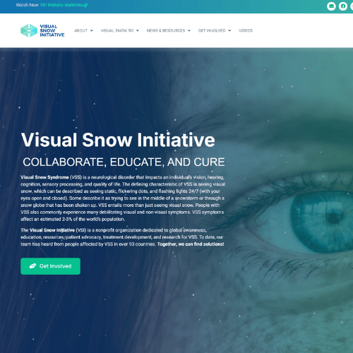 Visual Snow Timeline | Visual Snow Initiative