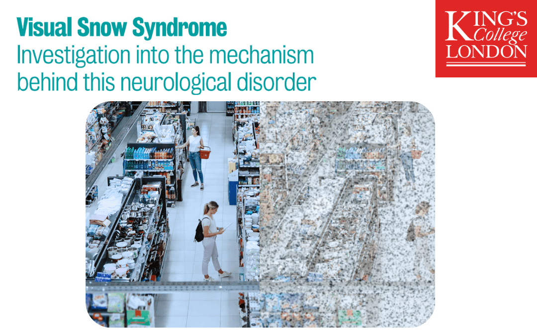 Home | Visual Snow Initiative