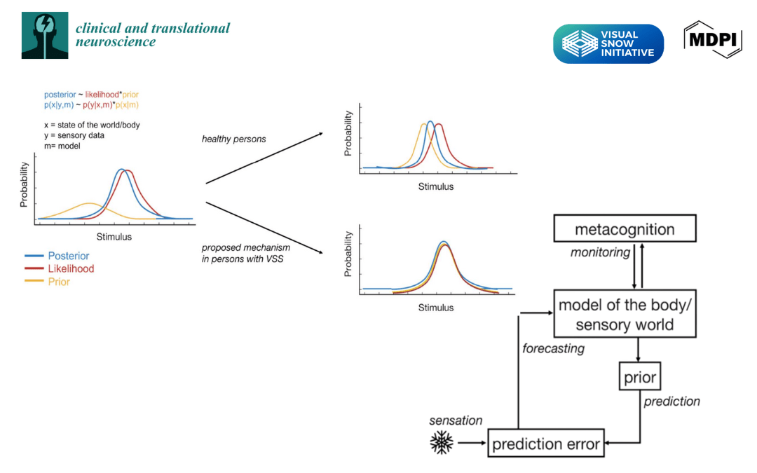 Diagnostic Criteria & Visual Symptoms | Visual Snow Initiative