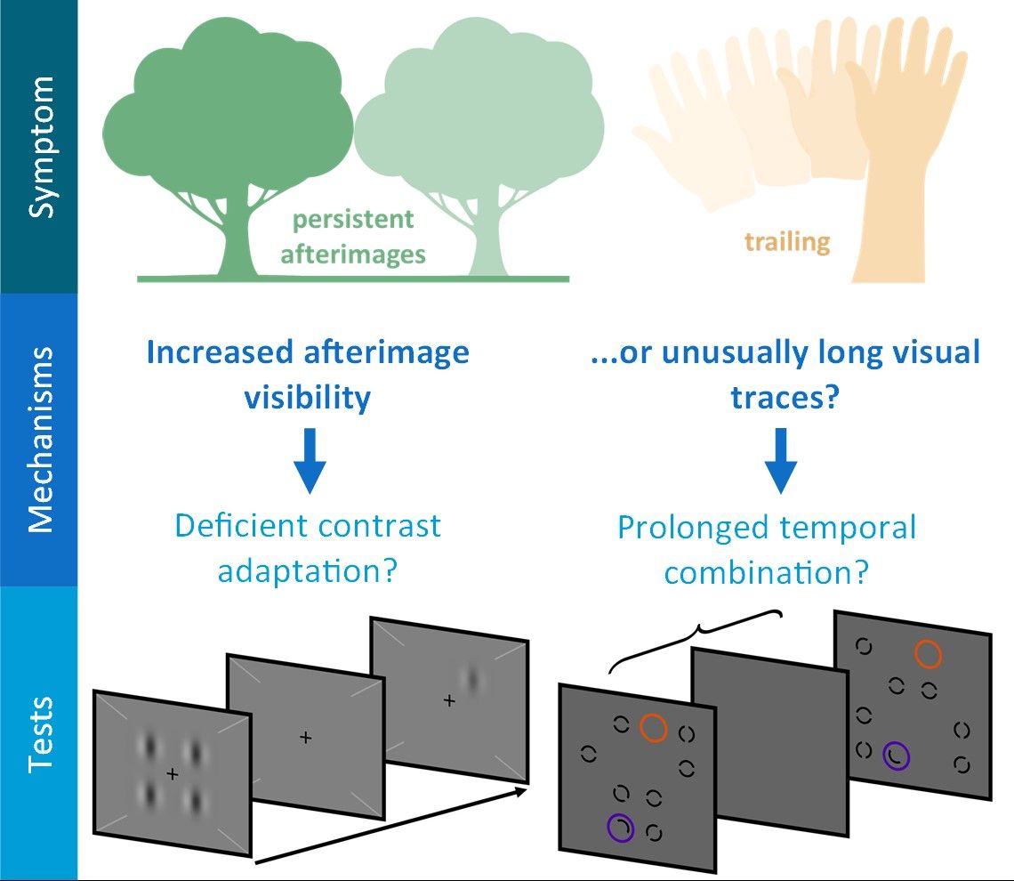 Visual Snow Syndrome Research at the University of Melbourne | Visual ...