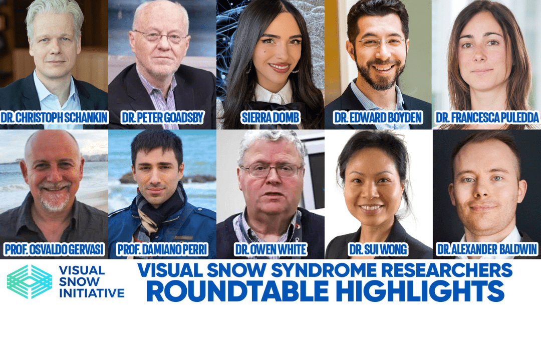 Visual Snow Initiative Roundtable: Global Visual Snow Syndrome Experts ...